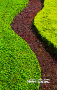 Landscaping Pickering | (Give Us A Call Today)