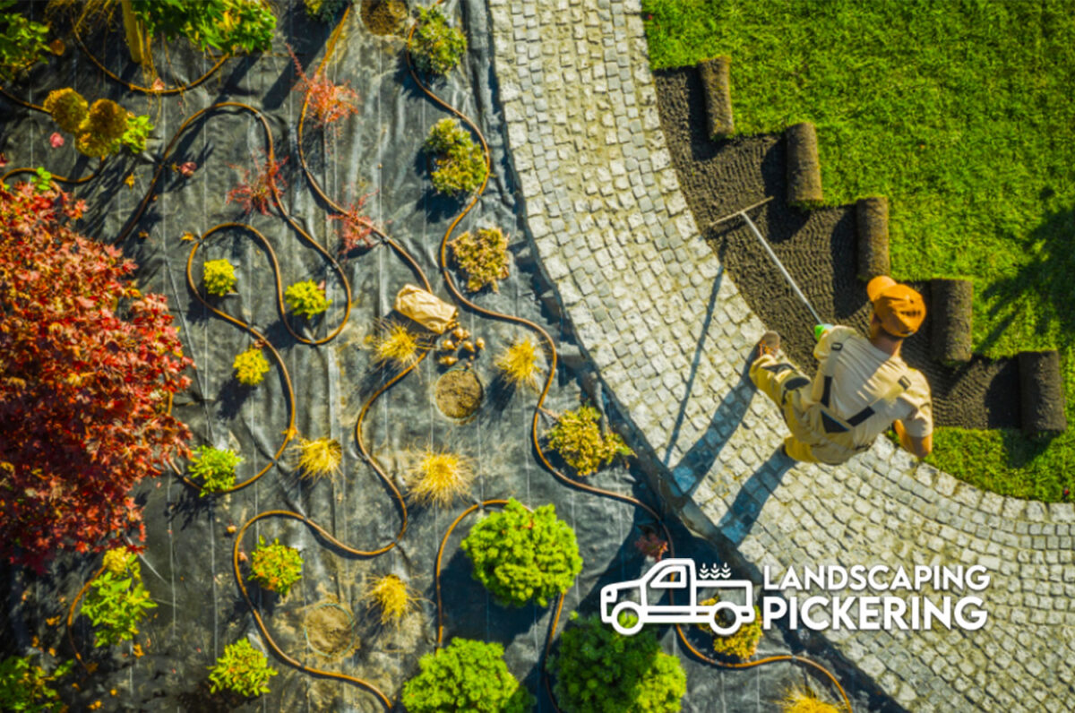 Lawn Maintenance Pickering | Urban Landscaping Pickering